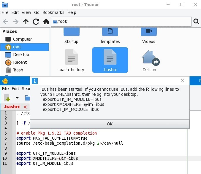 QuickPup64 日本語入力: LinuxでCD音楽再生 PuppyLinux編